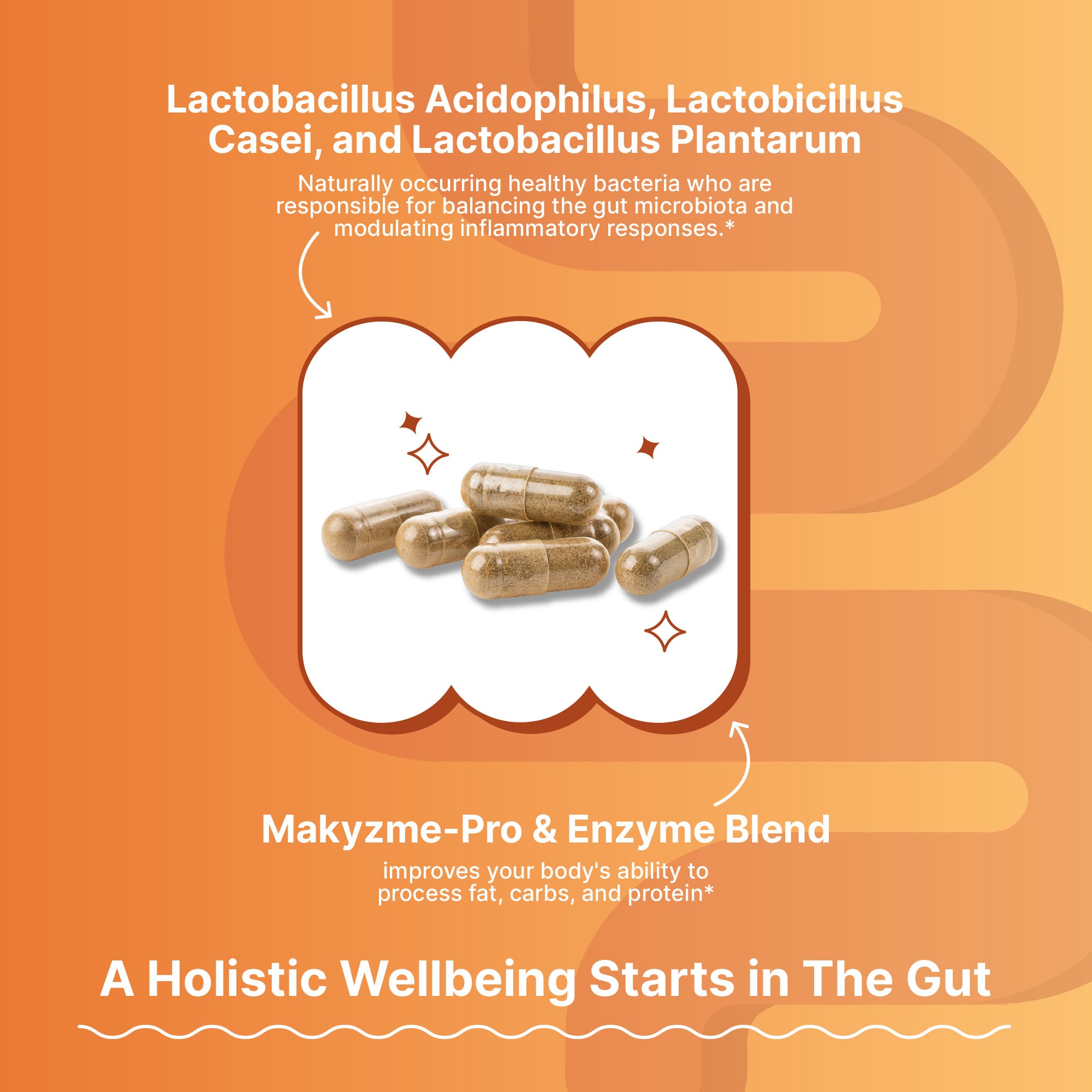 Debloat Me - Digestive Enzyme Capsules – Poop Like a Champion®